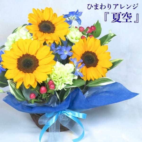 夏 花 ギフト プレゼント 季節限定 生花ひまわりアレンジ 夏空  ひまわり ヒマワリ 向日葵 サマーギフト 夏ギフト 敬老の日 日付指定 生花 アレンジメント 花 アレンジ ギフト プレゼント 誕生日 周年 祝い お見舞い 7月 8月 9...
