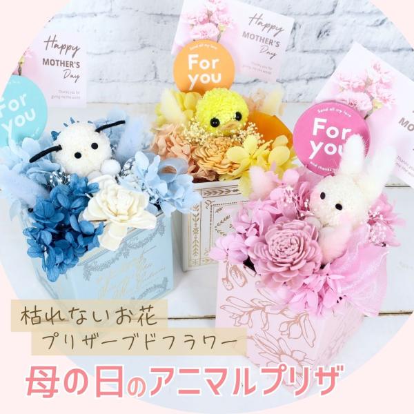 母の日 プレゼント 2026 母の日のアニマルプリザ アルバム 写真 プリザーブドフラワー アレンジメント フラワー ギフト 枯れない 動物 うさぎ 犬 あひる ラビット ドッグ ダック ボックス