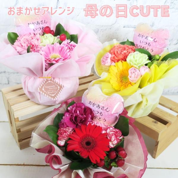 母の日 花 ギフト プレゼント 生花 花束 カーネーション 2026 母の日のアレンジCUTE 3カラー アレンジメント スタンディング 花瓶不要ピンク イエロー　レッド  カーネーション 気持ち かわいい おしゃれ　ミニ　プチ