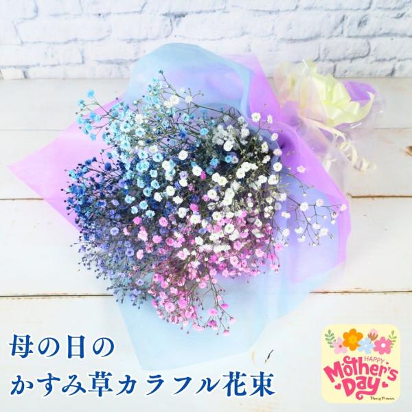 母の日 花 ギフト プレゼント 生花 花束 2026 母の日かすみ草のカラフル花束 母の日の花束 カスミソウ 染 母の日ギフト 花 おしゃれ かわいい フラワー ブーケ ギフト かすみ草 かすみそう 義母 プレゼント 切花 染色 カラフル ...