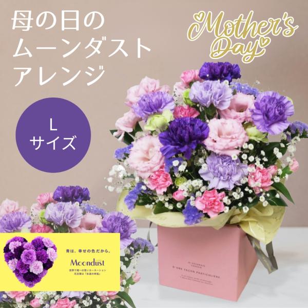 母の日 花 ギフト プレゼント 母の日のムーンダストアレンジ Lサイズ 2026 ムーンダスト アレンジメント  母の日ギフト 花 ギフト フラワー アレンジ 飾れる ブーケ 義母 プレゼント 生花 切花 珍しい 希少 青い 紫 カーネーシ...