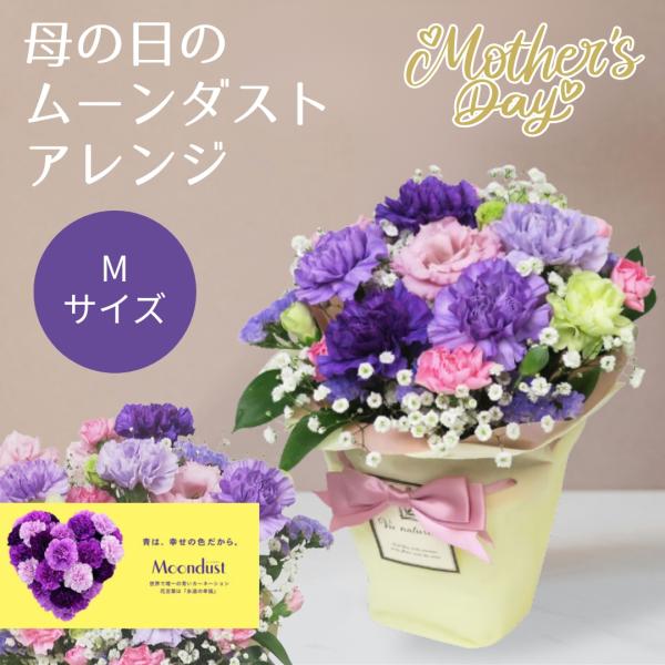 母の日 花 ギフト プレゼント 母の日のムーンダストアレンジ Mサイズ 2026 ムーンダスト アレンジメント  母の日ギフト 花 ギフト フラワー アレンジ 飾れる ブーケ 義母 プレゼント 生花 切花 珍しい 希少 青い 紫 フラワーギ...