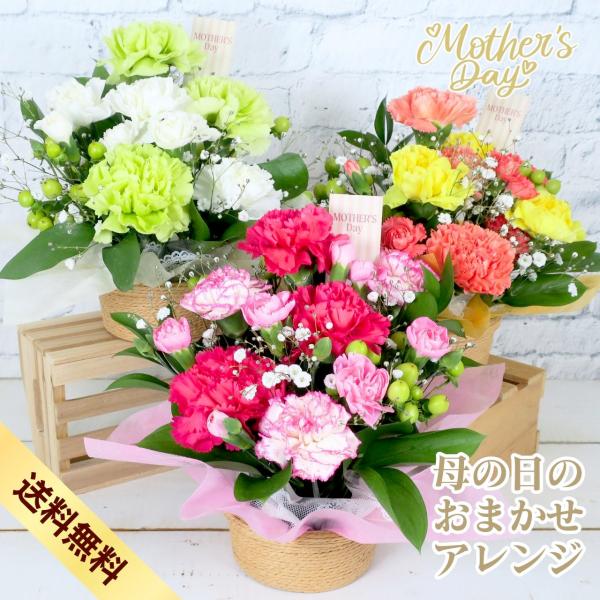 母の日 花 ギフト プレゼント 母の日のおまかせアレンジ  3カラー 2026 フラワーギフト 母の日 花 生花 アレンジメント 母の日ギフト 花 ケーキ アレンジ フラワー ギフト 定番 フラワーアレンジ レッド ピンク ビタミン イエロ...