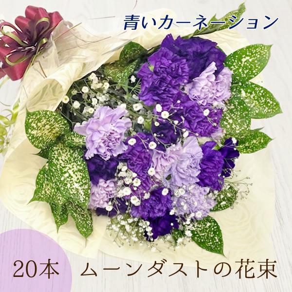花束 誕生日 青いカーネーション ムーンダスト ブーケ  ムーンダストの花束 20本入  プレゼント ギフト カーネーション 青 紫 生花 花束 お祝い 開店祝い 開業祝い 発表会 展覧会 個展 誕生日 長寿祝い 敬老 還暦 傘寿 喜寿 花...