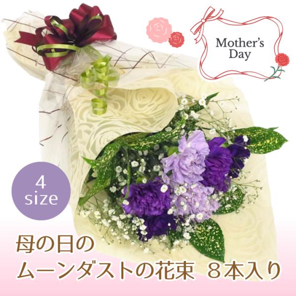 母の日 花 ギフト 青いカーネーション 2026ムーンダスト ブーケ  ムーンダストの花束8本入 プレゼント ギフト カーネーション 青 紫 生花 花束 お祝い 開店祝い 開業祝い 発表会 展覧会 個展 誕生日 長寿祝い 敬老 還暦 傘寿 ...