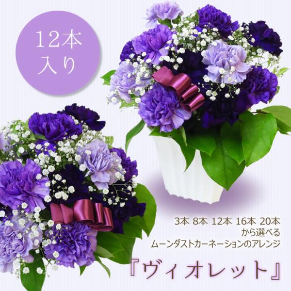 青いカーネーション ムーンダスト アレンジ   ヴィオレット  12本 父の日 プレゼント ギフト 希少 カーネーション 青 紫 生花 お祝い 開店祝い 開業祝い 展覧会 個展 誕生日 長寿祝い 敬老 還暦 傘寿 喜寿 花言葉 永遠の幸福 ...