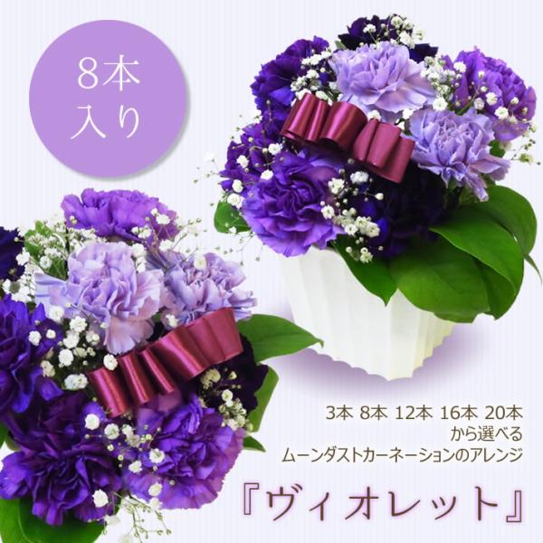 青いカーネーション ムーンダスト アレンジ  ヴィオレット  8本 父の日 プレゼント ギフト 希少 カーネーション 青 紫 生花 お祝い 開店祝い 開業祝い 展覧会 個展 誕生日 長寿祝い 敬老 還暦 傘寿 喜寿 花言葉 永遠の幸福 日時...
