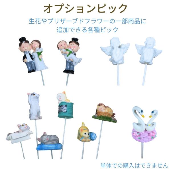 『オプションドールピック』フラワーギフトに追加可能なオプション商品です。こちらの商品単体ではご購入いただけません。/OPT