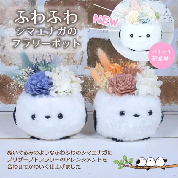 花 プリザーブドフラワー  シマエナガのフラワーポット 誕生日 プレゼント 敬老の日 お祝い 記念日 入園 入学 卒園 卒業 結婚記念日 結婚祝い 出産祝い 長寿祝い 敬老 還暦 お見舞い プリザ 枯れない 花 幸福 愛情 希望 ぬいぐるみ...