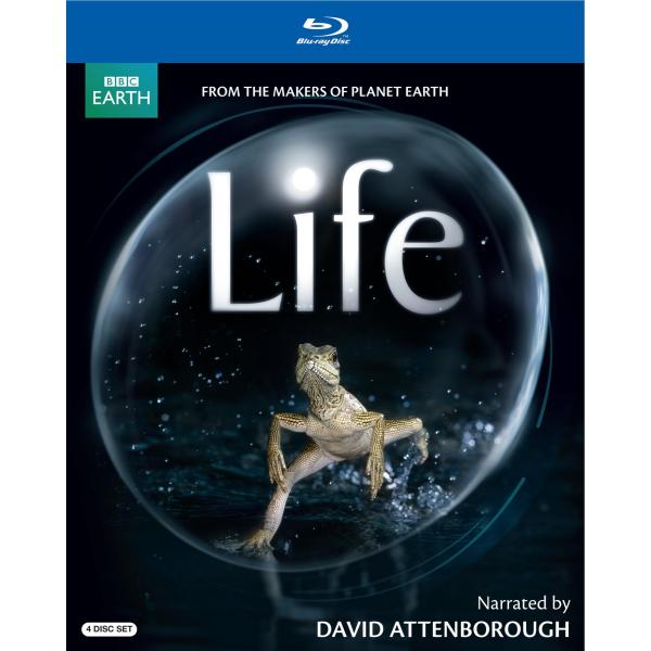 （中古品）Life Blu-ray Import商品写真はサンプル写真となっております。写真の商品が届くわけでは御座いません。用途機能として最低限の付属品はお送りいたしますが取扱説明書、リモコン等含まれていない場合もございます。＊写真に対し...