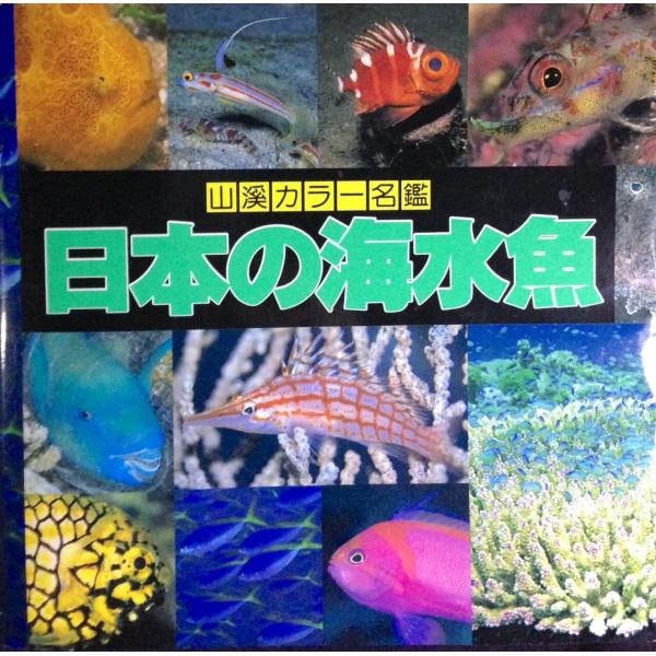 （中古品）日本の海水魚 (山渓カラー名鑑)商品写真はサンプル写真となっております。写真の商品が届くわけでは御座いません。用途機能として最低限の付属品はお送りいたしますが取扱説明書、リモコン等含まれていない場合もございます。＊写真に対し付属品...