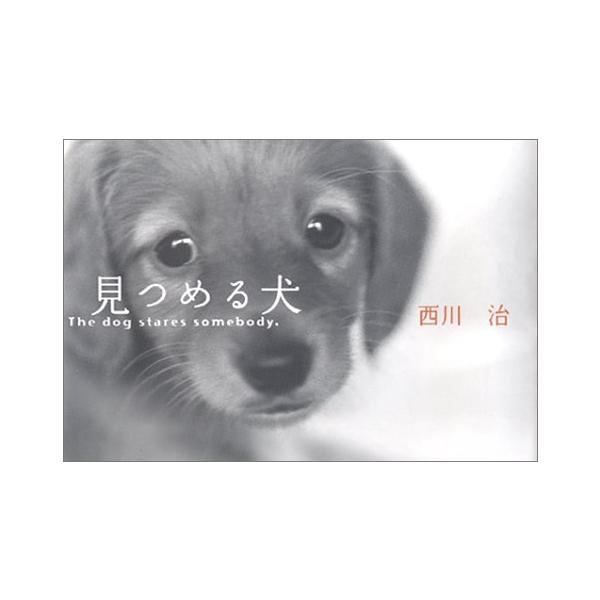 （中古品）見つめる犬: The dog stares somebody商品写真はサンプル写真となっております。写真の商品が届くわけでは御座いません。用途機能として最低限の付属品はお送りいたしますが取扱説明書、リモコン等含まれていない場合もご...