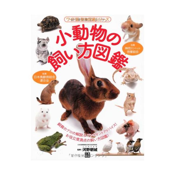 （中古品）小動物の飼い方図鑑 (ワイド版・動物図鑑シリーズ)商品写真はサンプル写真となっております。写真の商品が届くわけでは御座いません。用途機能として最低限の付属品はお送りいたしますが取扱説明書、リモコン等含まれていない場合もございます。...