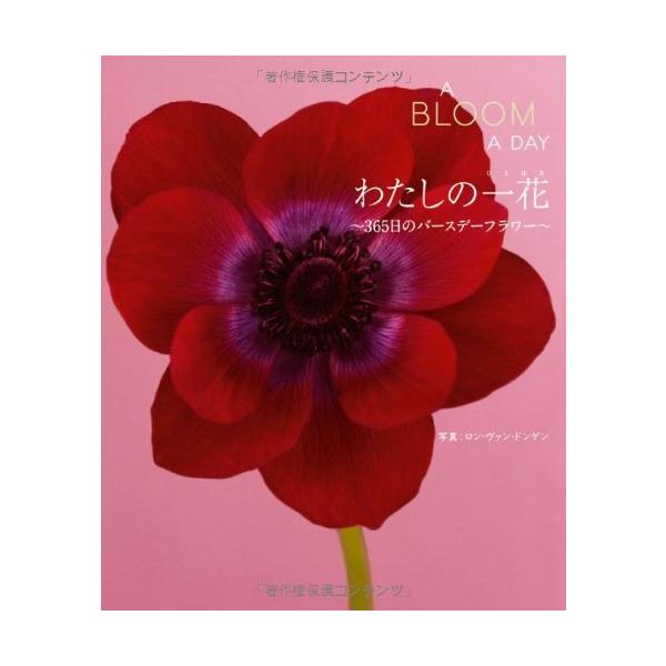 （中古品）わたしの一花 365日のバースデーフラワー商品写真はサンプル写真となっております。写真の商品が届くわけでは御座いません。用途機能として最低限の付属品はお送りいたしますが取扱説明書、リモコン等含まれていない場合もございます。＊写真に...