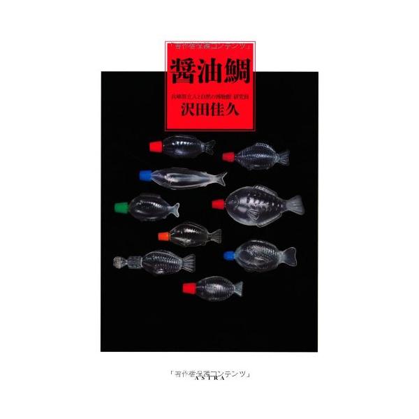 （中古品）醤油鯛商品写真はサンプル写真となっております。写真の商品が届くわけでは御座いません。用途機能として最低限の付属品はお送りいたしますが取扱説明書、リモコン等含まれていない場合もございます。＊写真に対し付属品の差異のある場合は当店より...