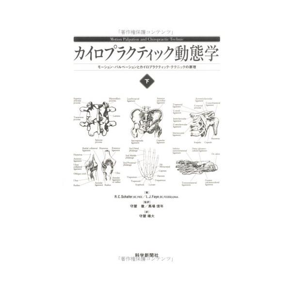 （中古品）カイロプラクティック動態学: モ-ション・パルペ-ションとカイロプラクティック・テクニックの原理 (下巻)商品写真はサンプル写真となっております。写真の商品が届くわけでは御座いません。用途機能として最低限の付属品はお送りいたします...