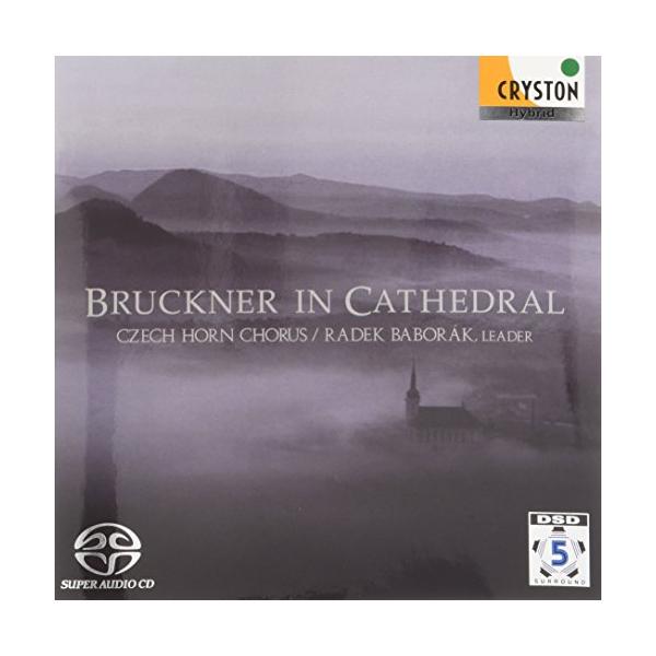 （中古品）ブルックナー・イン・カテドラル商品写真はサンプル写真となっております。写真の商品が届くわけでは御座いません。用途機能として最低限の付属品はお送りいたしますが取扱説明書、リモコン等含まれていない場合もございます。＊写真に対し付属品の...