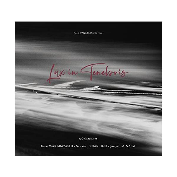 （中古品）Lux in Tenebris/闇の中の光 サルヴァトーレ・シャリーノ フルート独奏のための作品集 1977 - 2000商品写真はサンプル写真となっております。写真の商品が届くわけでは御座いません。用途機能として最低限の付属品は...