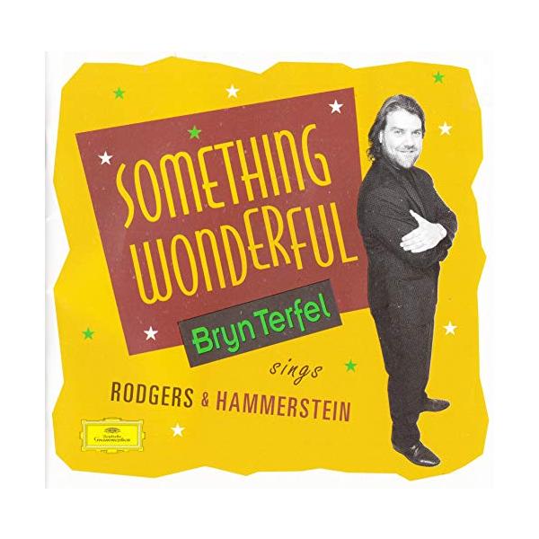 （中古品）Something Wonderful - Bryn Terfel Sings Rodgers &amp; Hammerstein商品写真はサンプル写真となっております。写真の商品が届くわけでは御座いません。用途機能として最低限の...
