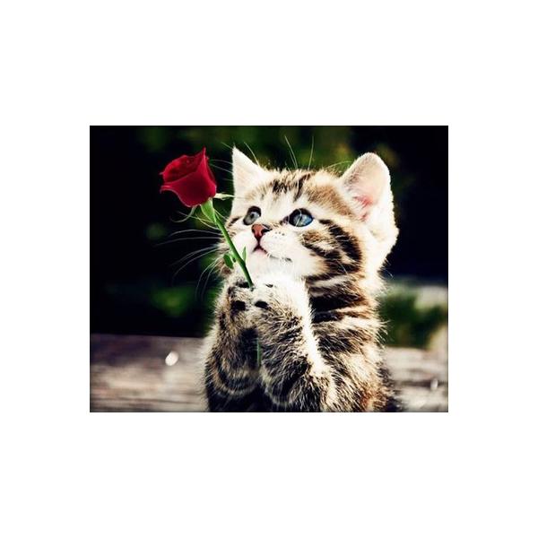 刺繍サイズ（約）　19ｘ25cmステッチ数： 81x112刺繍布：綿、11カウント白（図案印刷）キット内容：完成見本図、カラー図案印刷布、刺繍糸、簡単なやり方の日本語説明書、刺繍針1-2本生産国：中国刺しゅう布に図案がプリントされてますので...