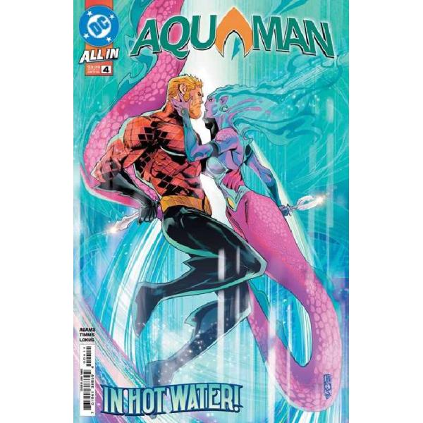 【ネコポスでの発送です】　BJBEJDJGC　2025-04-07 250405アメコミ アメリカン コミック　アメコミリーフ　アメコミ通販　出版社：DC コミック/DC COMICS　本体：たて26cm よこ17cm　輸入元：当社直輸入　...