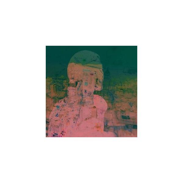 【発売日：2021年04月09日】種別:2LP 【輸入盤】 クラシックその他 発売日:2021/04/09 登録日:2021/05/14 マックス・リヒター ヴォイシズ 2 内容:収録曲1. Psychogeography2. Mirror...