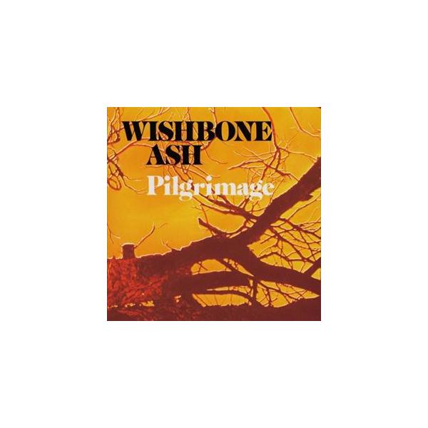 【発売日：1993年09月27日】種別:CD 【輸入盤】 洋楽ロック 発売日:1993/09/27 登録日:2014/06/05 ウィッシュボーン・アッシュ ピルグリメージ ウィッシュボーン・アッシュ CD 内容:1. Vas Dis2. ...