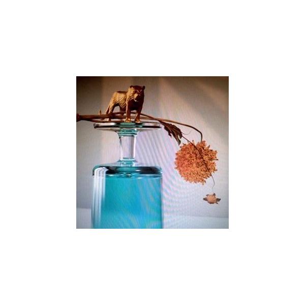 【発売日：2019年02月01日】種別:CD 【輸入盤】 洋楽ロック 発売日:2019/02/01 登録日:2019/01/24 ベイルート ガリポリ 内容:1. When I Die2. Gallipoli3. Varieties of ...