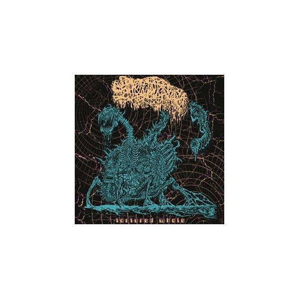 【発売日：2021年03月26日】種別:CD 【輸入盤】 洋楽ハードロック/ヘヴィメタル 発売日:2021/03/26 登録日:2021/03/05 サングスーガボグ トーチャード・ホール 内容:1. Menstrual Envy2. Go...