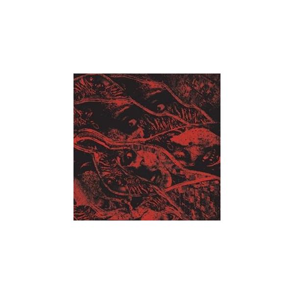 【発売日：2022年09月23日】種別:CD 【輸入盤】 洋楽ロック 発売日:2022/09/23 登録日:2022/09/15 ヴァーミン・ウーム リタリエイション 内容:1. Crumbling World Without Joy2. ...