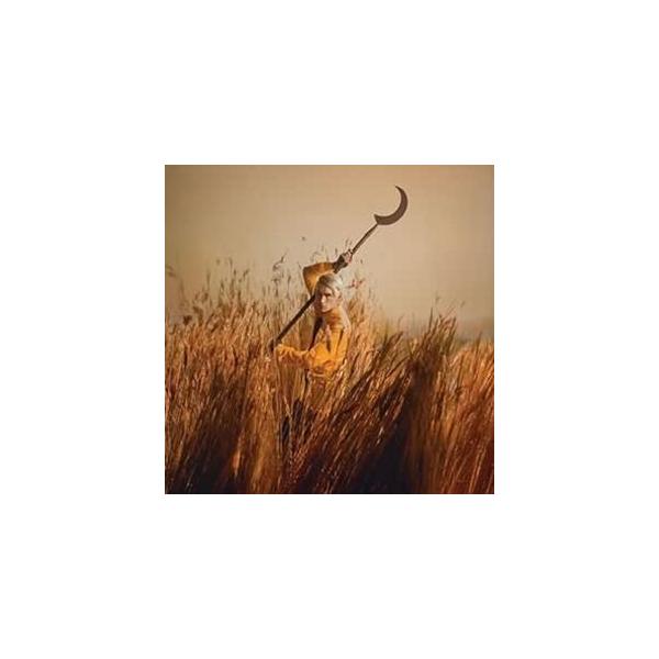 【発売日：2025年06月17日】種別:2LP 【輸入盤】 洋楽ロック 発売日:2025/06/17 登録日:2025/04/25 パトリック・ウルフ クライング・ザ・ネック 内容:［LP1 ： Side A］1. Reculver2. L...