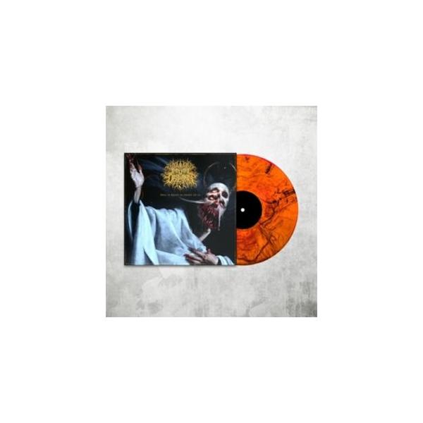 【発売日：2026年02月06日】種別:LP 【輸入盤】 洋楽ハードロック/ヘヴィメタル 発売日:2026/02/06 登録日:2025/10/23 イモータル・ディスフィギュアメント ヘル・イズ・ライト・イン・フロント・オブ・アス