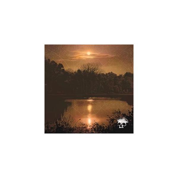 【発売日：2024年12月13日】種別:CD 【輸入盤】 洋楽ロック 発売日:2024/12/13 登録日:2024/09/10 プレーンズ・ミステイクン・フォー・スターズ ドゥー・ユー・スティル・ラヴ・ミー? 内容:1. Matthew ...