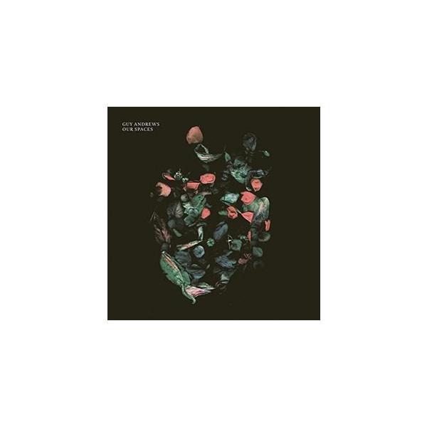 【発売日：2016年03月04日】種別:CD 【輸入盤】 洋楽クラブ/テクノ 発売日:2016/03/04 登録日:2016/02/03 ガイ・アンドリュース アワー・スペーシーズ 内容:1. Higher Waters2. All Our...