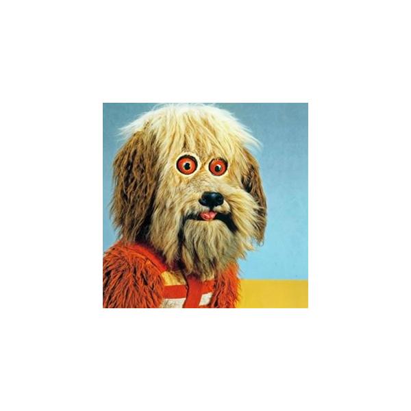 【発売日：2024年08月16日】種別:CD 【輸入盤】 洋楽ロック 発売日:2024/08/16 登録日:2024/05/29 フォー・イヤー・ストロング アナリシス・パラリシス フォー・イヤー・ストロング CD 内容:1. afterm...