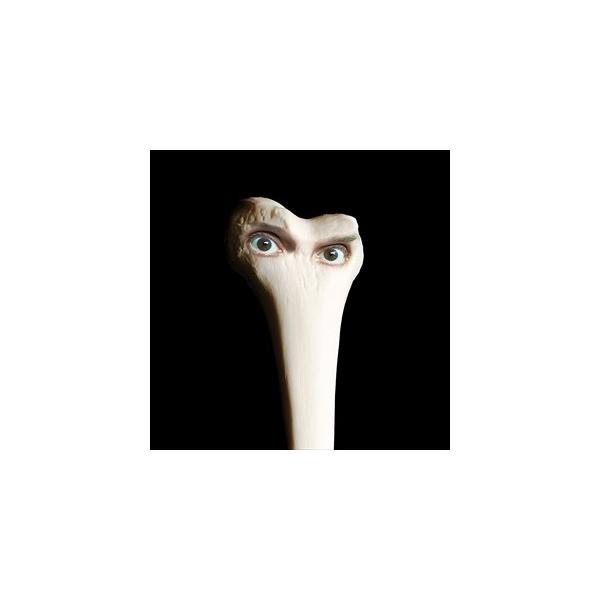 【発売日：2017年05月12日】種別:CD 【輸入盤】 洋楽その他 発売日:2017/05/12 登録日:2017/02/22 フアナ・モリーナ ヘイロー 内容:1. Paraguaya2. Sin dones3. Lentisimo h...