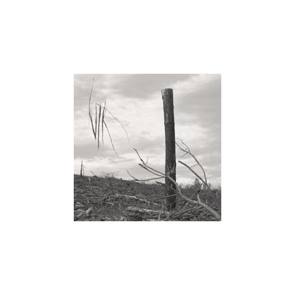 【発売日：2024年02月02日】種別:CD 【輸入盤】 洋楽ロック 発売日:2024/02/02 登録日:2023/12/22 VLK ソラスタルジア・I 内容:1. Extinction2. Indigenuity3. Interlud...