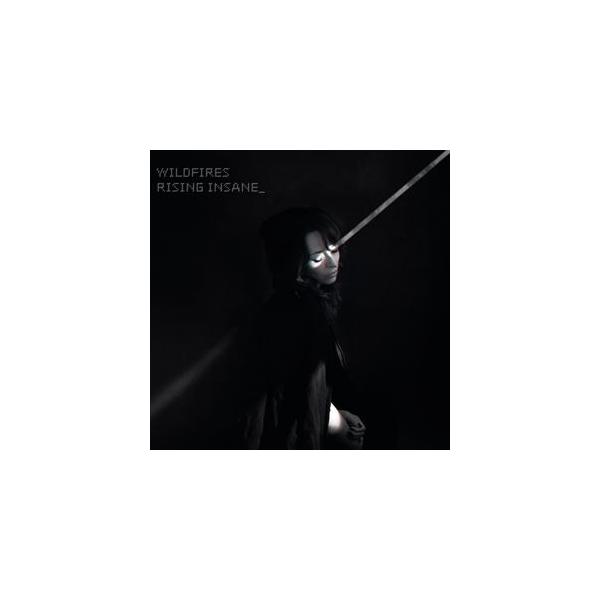 【発売日：2024年08月23日】種別:CD 【輸入盤】 洋楽ハードロック/ヘヴィメタル 発売日:2024/08/23 登録日:2024/04/10 ライジング・インセイン ワイルドファイヤーズ 内容:1. Reign2. Monster3...