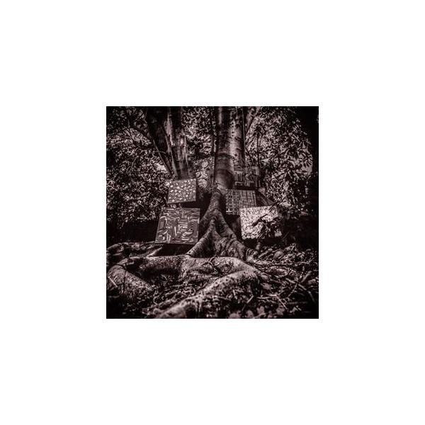 【発売日：2017年09月29日】種別:CD 【輸入盤】 ジャズ・フュージョン海外ジャズ 発売日:2017/09/29 登録日:2017/09/27 カマシ・ワシントン ハーモニー・オブ・ディファレンス 内容:1. Desire2. Hum...