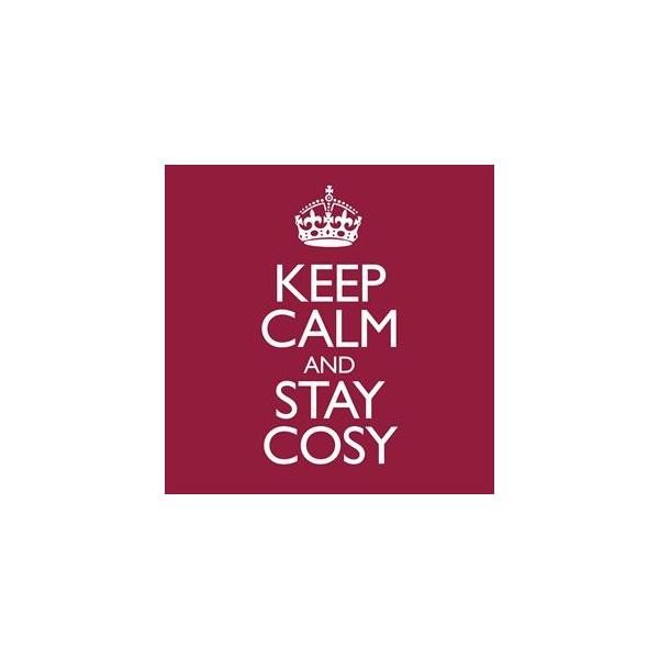 【発売日：2016年03月11日】種別:2CD 【輸入盤】 洋楽ポップス 発売日:2016/03/11 登録日:2016/02/09 ヴァリアス キープ・カーム＆ステイ・コージー 内容:［Disc 1］1. Fallin’ - Alicia...