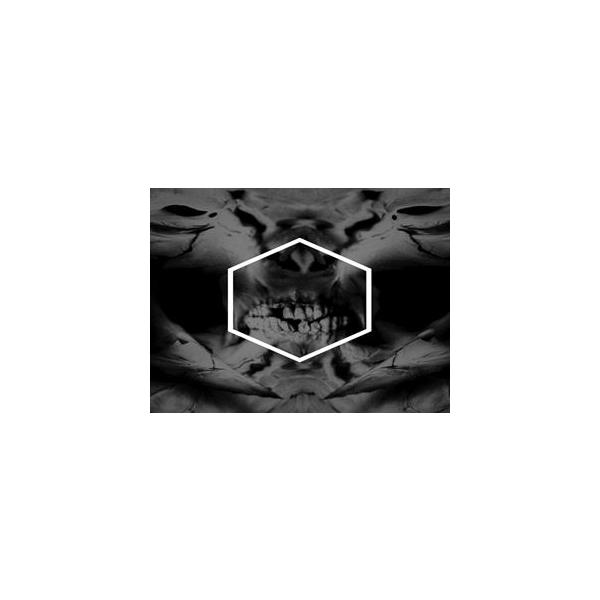 【発売日：2022年04月29日】種別:CD 【輸入盤】 洋楽ロック 発売日:2022/04/29 登録日:2022/12/23 ラストモード ［アザー］ 内容:1. Testament2. Element3. Godeater4. Dar...