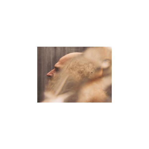 【発売日：2022年10月28日】種別:CD 【輸入盤】 洋楽ロック 発売日:2022/10/28 登録日:2022/12/23 サイコノート ヴァイオレート・コンセンサス・リアリティ 内容:1. A Storm Approaching2....