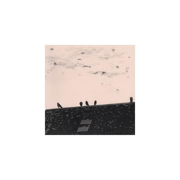 【発売日：2018年06月15日】種別:LP 【輸入盤】 洋楽ロック 発売日:2018/06/15 登録日:2018/05/07 スチュアート・A・ステイプルズ アリースミア 内容:［Side A］1. A real new2. Memor...