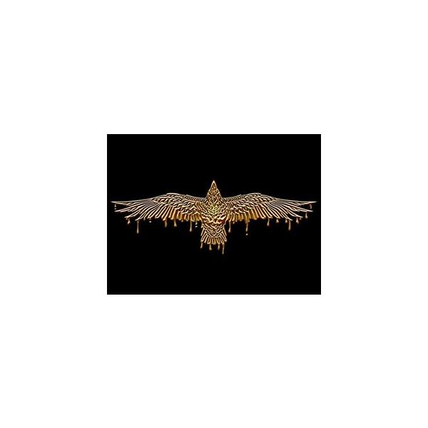 【発売日：2023年01月20日】種別:CD 【輸入盤】 洋楽ロック 発売日:2023/01/20 登録日:2022/12/16 モノ・インク レイヴンブラックーDIGIー 内容:1. At the End of the Rainbow2....