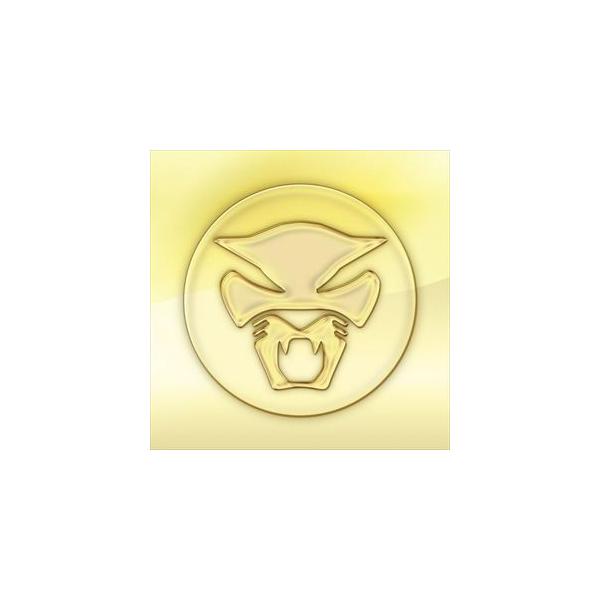 【発売日：2011年08月30日】種別:CD 【輸入盤】 洋楽ソウル/R&amp;B 発売日:2011/08/30 登録日:2018/06/22 サンダーキャット ゴールデン・エイジ・オブ・アポカリプス 内容:1. HooooooO2. D...