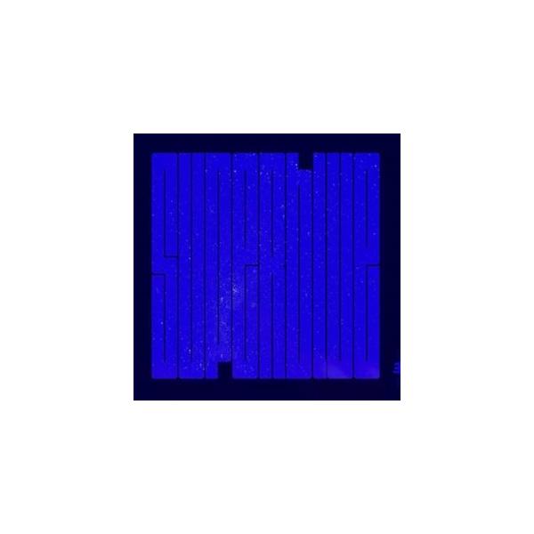 【発売日：2021年09月17日】種別:LP 【輸入盤】 ジャズ・フュージョン海外ジャズ 発売日:2021/09/17 登録日:2022/01/14 カート・エリング スーパーブルー 内容:［Side A］1. SuperBlue2. Sa...