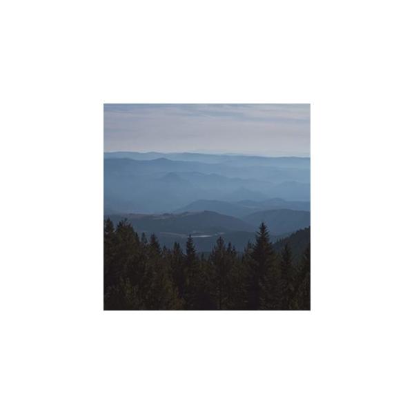 【発売日：2021年11月19日】種別:CD 【輸入盤】 洋楽ロック 発売日:2021/11/19 登録日:2021/11/26 メイビーシーウィル ノー・フィーリング・イズ・ファイナル 内容:1. We’ve Arrived At The...