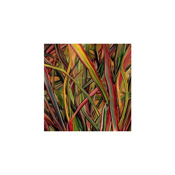 【発売日：2018年03月09日】種別:CD 【輸入盤】 洋楽ロック 発売日:2018/03/09 登録日:2018/01/16 ゲンガー ホエア・ワイルドネス・グロウズ 内容:1. Before Sunrise2. Mallory3. I...