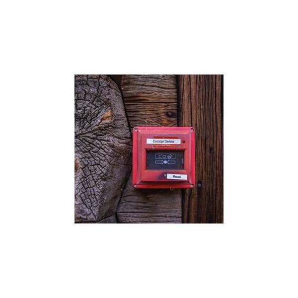 【発売日：2026年08月07日】種別:CD 【輸入盤】 洋楽フォーク/カントリー 発売日:2026/08/07 登録日:2026/05/21 レオロ ディストピ・デリート 内容:1. Purrebaeadn - Reolo2. Allah...