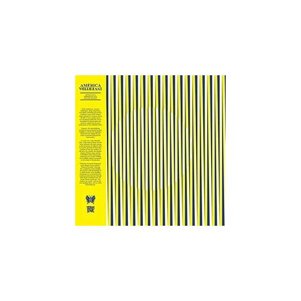 【発売日：2019年12月13日】種別:LP 【輸入盤】 洋楽ワールドミュージックその他 発売日:2019/12/13 登録日:2020/02/28 ヴァリアス アメリカ・インヴァーティダ 内容:1. DESENCANTO CONTRAVI...